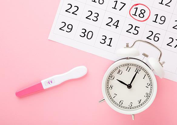 How Long Does it Take to Get Pregnant?