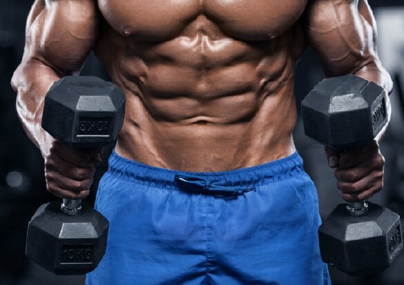 The importance of blood testing for bodybuilders